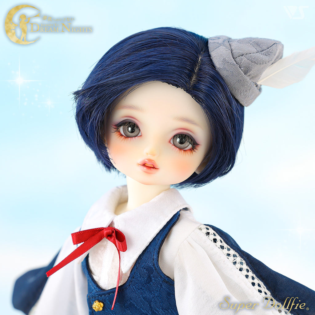 Dollfie — VOLKS USA, INC.