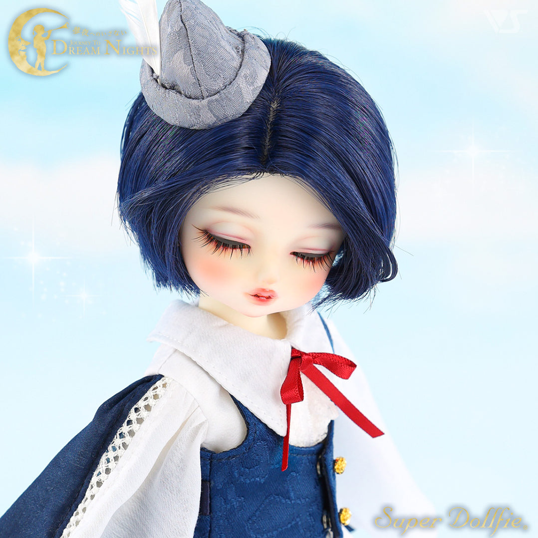 Yo-SD Boy Little Swallow Sweet Dream Version. — VOLKS USA, INC.