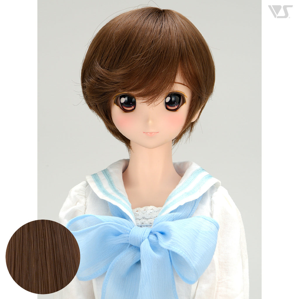 Wigs & Hair — VOLKS USA, INC.