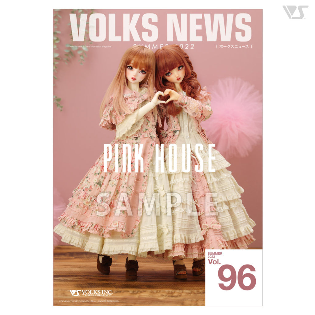 VOLKS NEWS — VOLKS USA, INC.