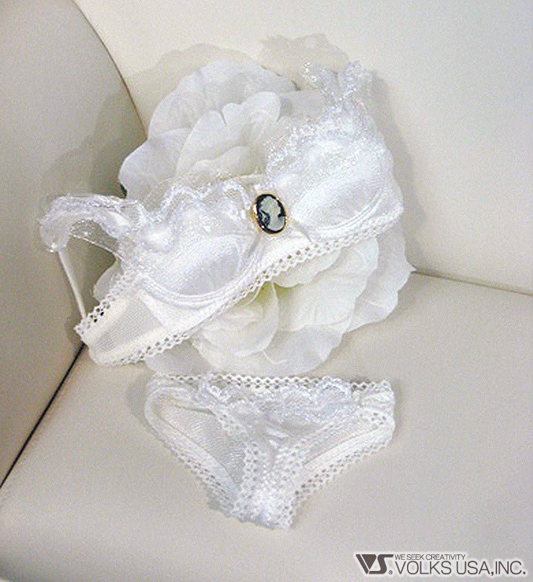 DD Organdy Frilled Lace Bra & Panties — VOLKS USA, INC.