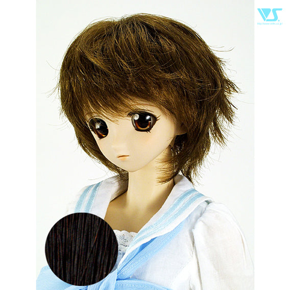 DD Wigs (8"-9") — VOLKS USA, INC.